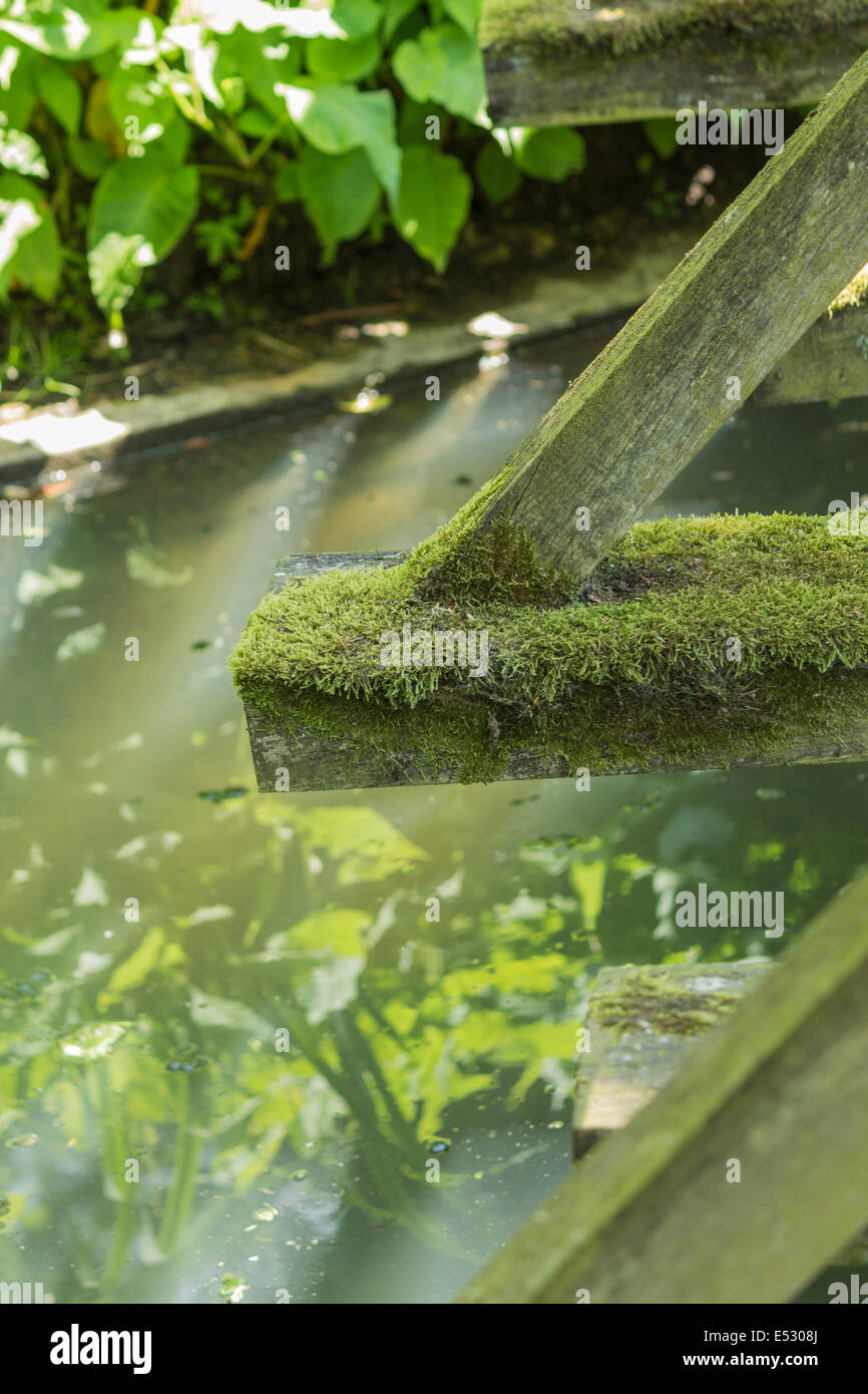 Moss on bridge hi-res stock photography and images - Alamy