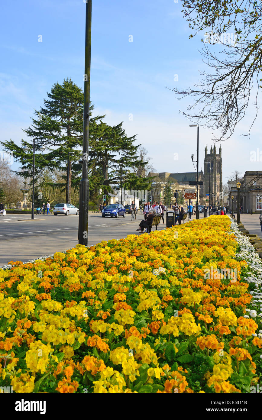 Spring flowers, The Parade, Royal Leamington Spa, Warwickshire, England ...