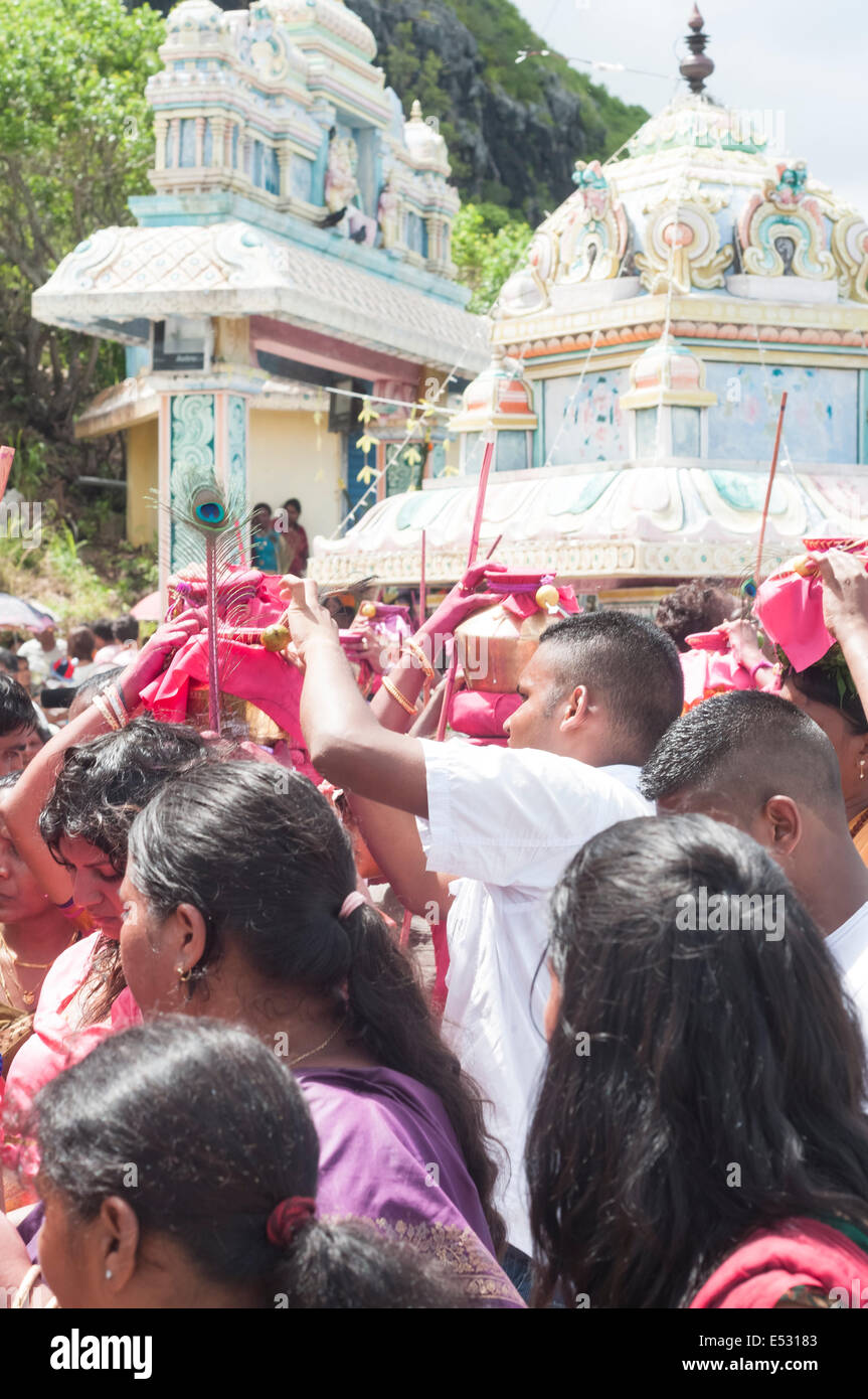 Cavadee festiva, Mauritius Island Stock Photo - Alamy