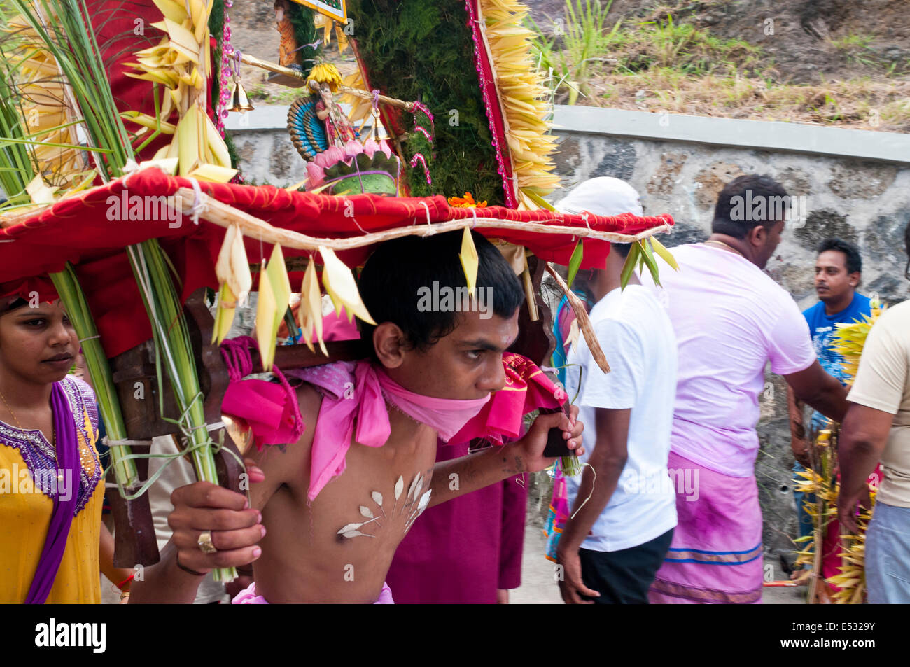 Cavadee festiva, Mauritius Island Stock Photo - Alamy