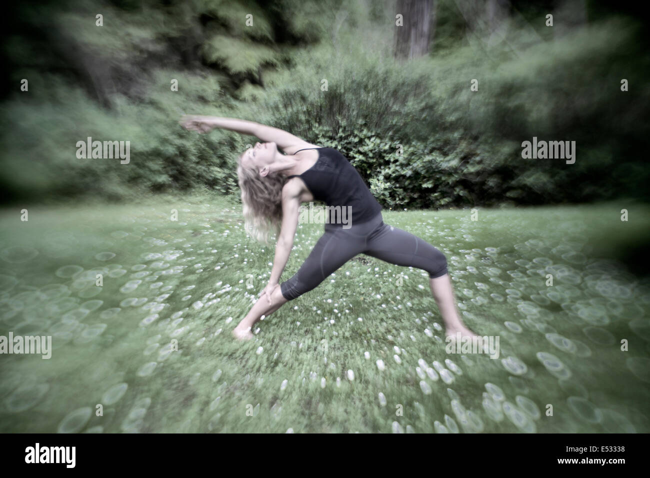 Carly park hi-res stock photography and images - Alamy