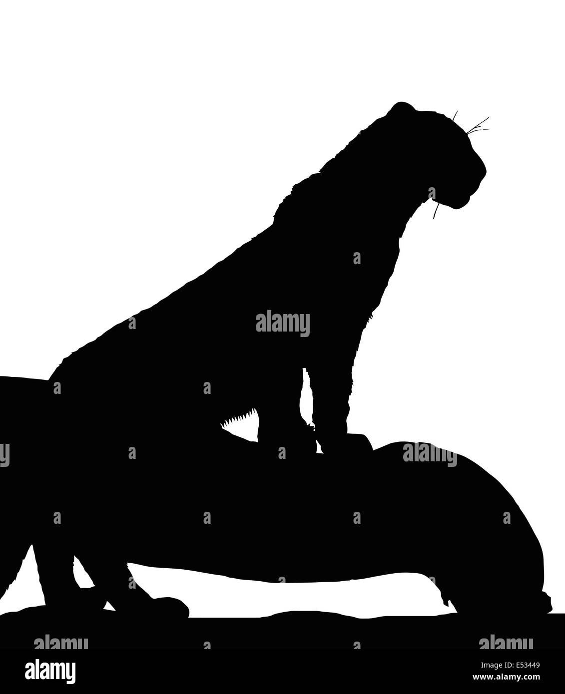 Detailed Portrait Silhouette of Young Leopard on Branch Stock Photo - Alamy