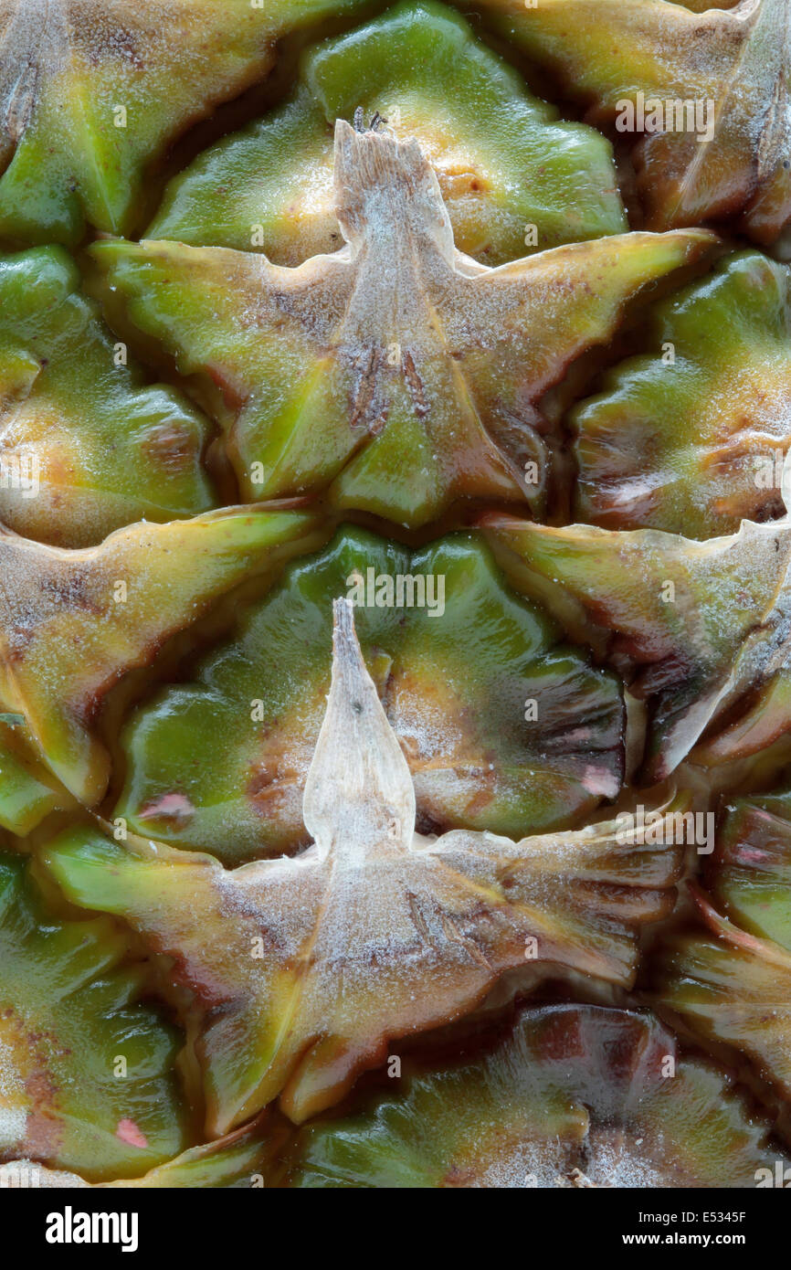 background of a close up of a pineapple Stock Photo - Alamy