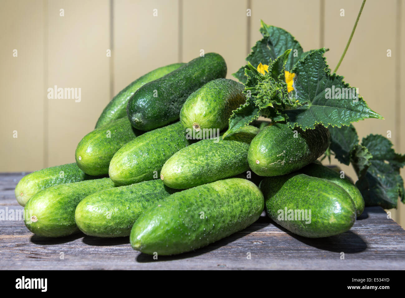 Cucumbers hi-res stock photography and images - Alamy