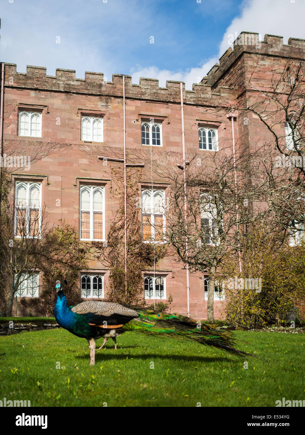 Scone palace scotland hi-res stock photography and images - Alamy