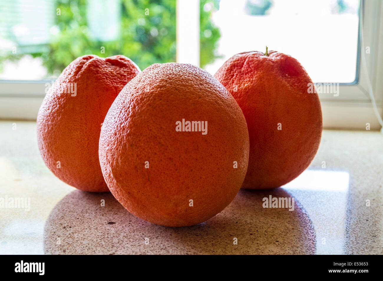 Grapefruit Size Comparison