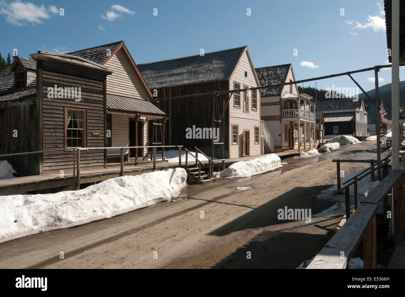 Elk203-3204 Canada, British Columbia, Barkerville Historic Town, Front ...