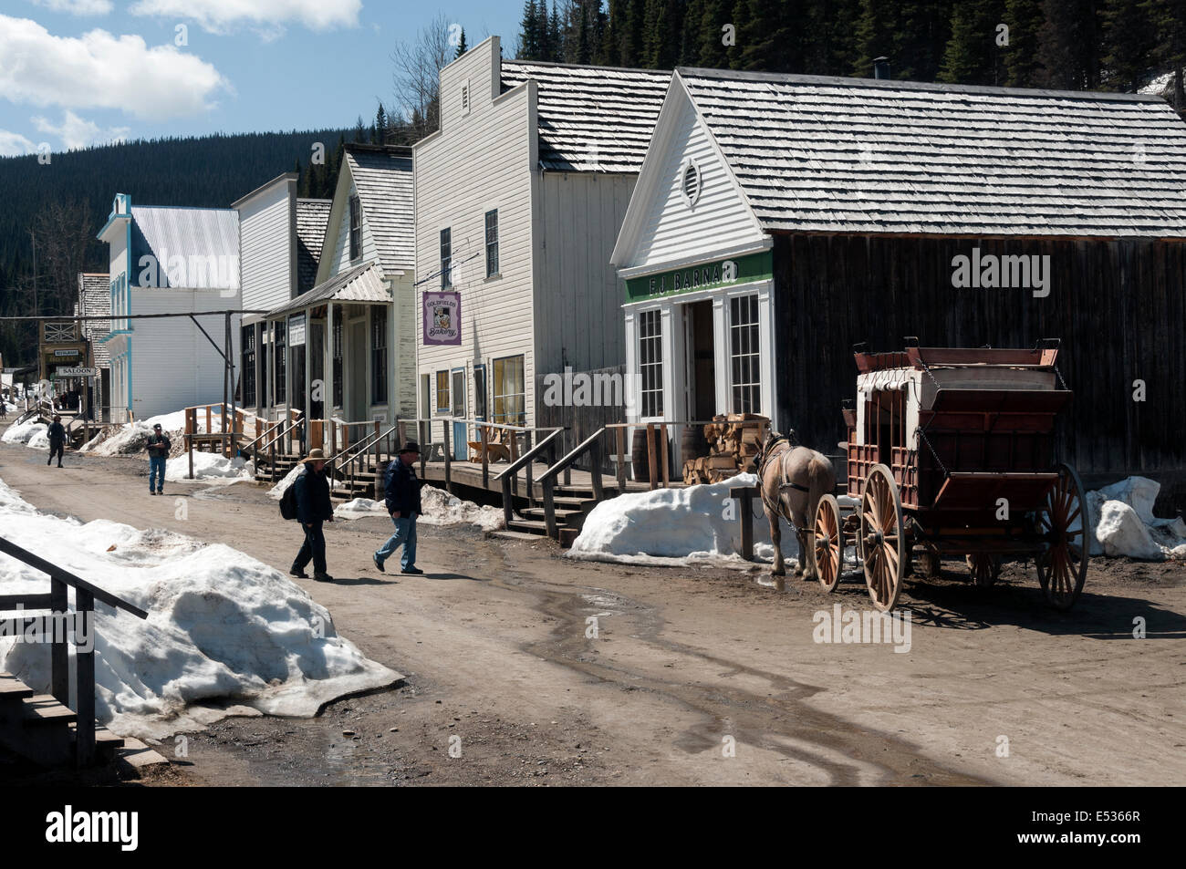 Elk203-3208 Canada, British Columbia, Barkerville Historic Town, Front ...