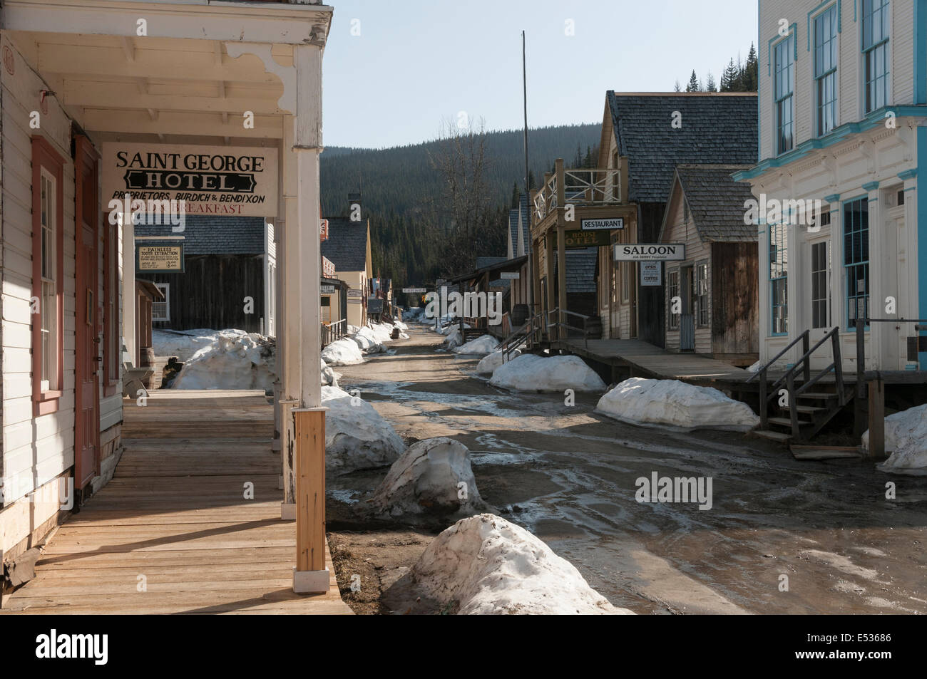Elk203-3225 Canada, British Columbia, Barkerville Historic Town, Front ...