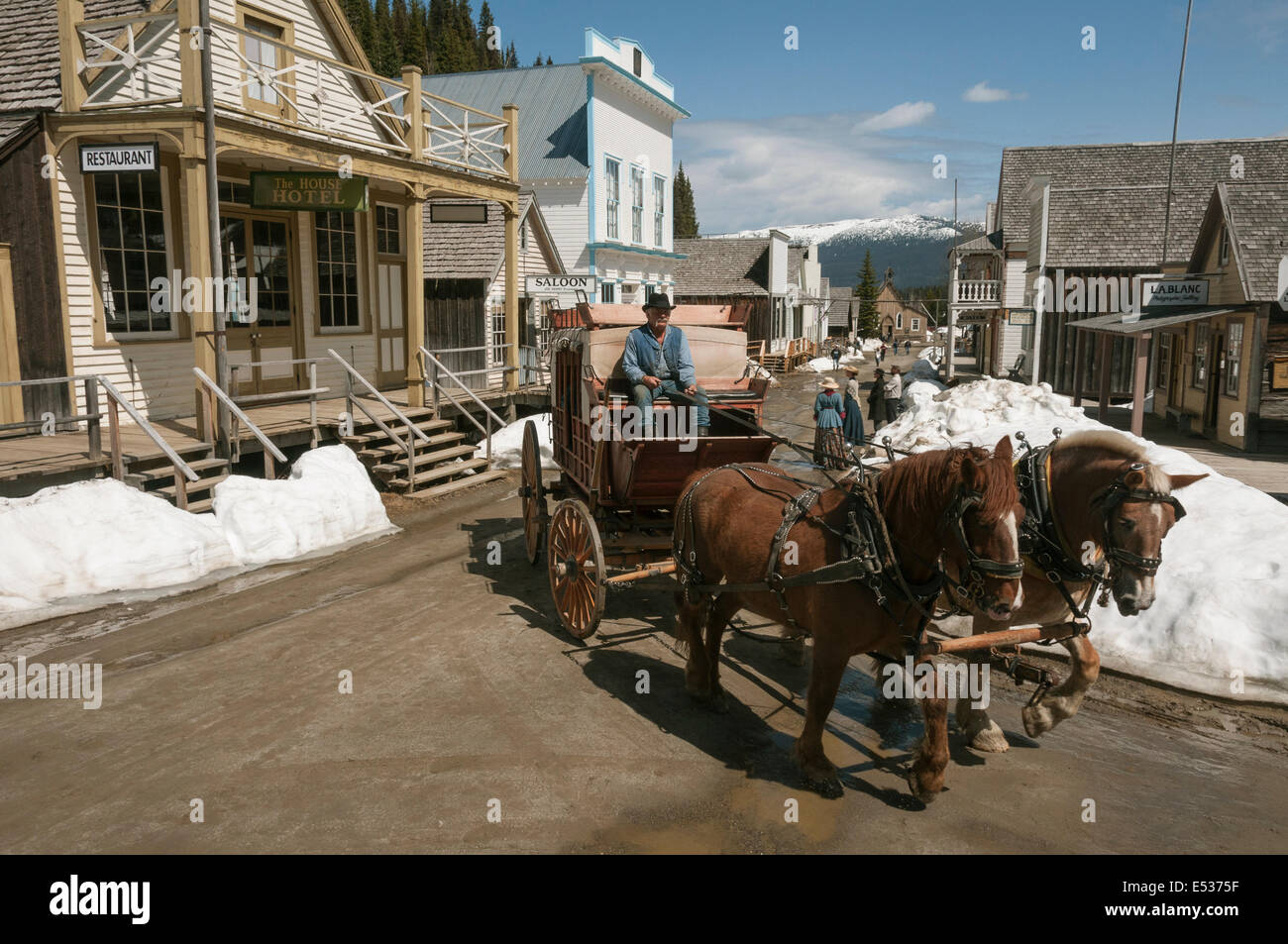 Elk203-3229 Canada, British Columbia, Barkerville Historic Town, Front ...
