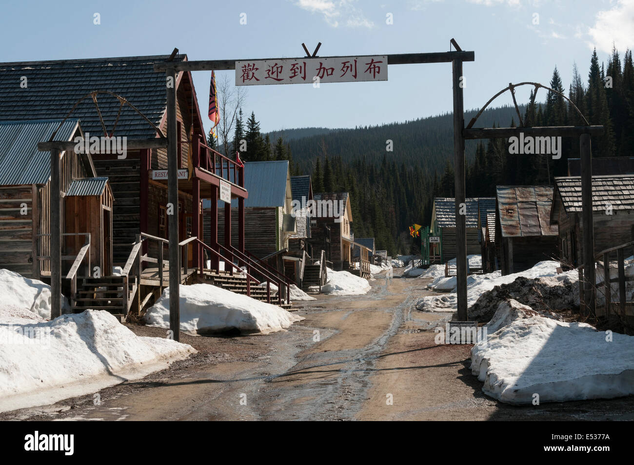 Elk203-3257 Canada, British Columbia, Barkerville Historic Town ...