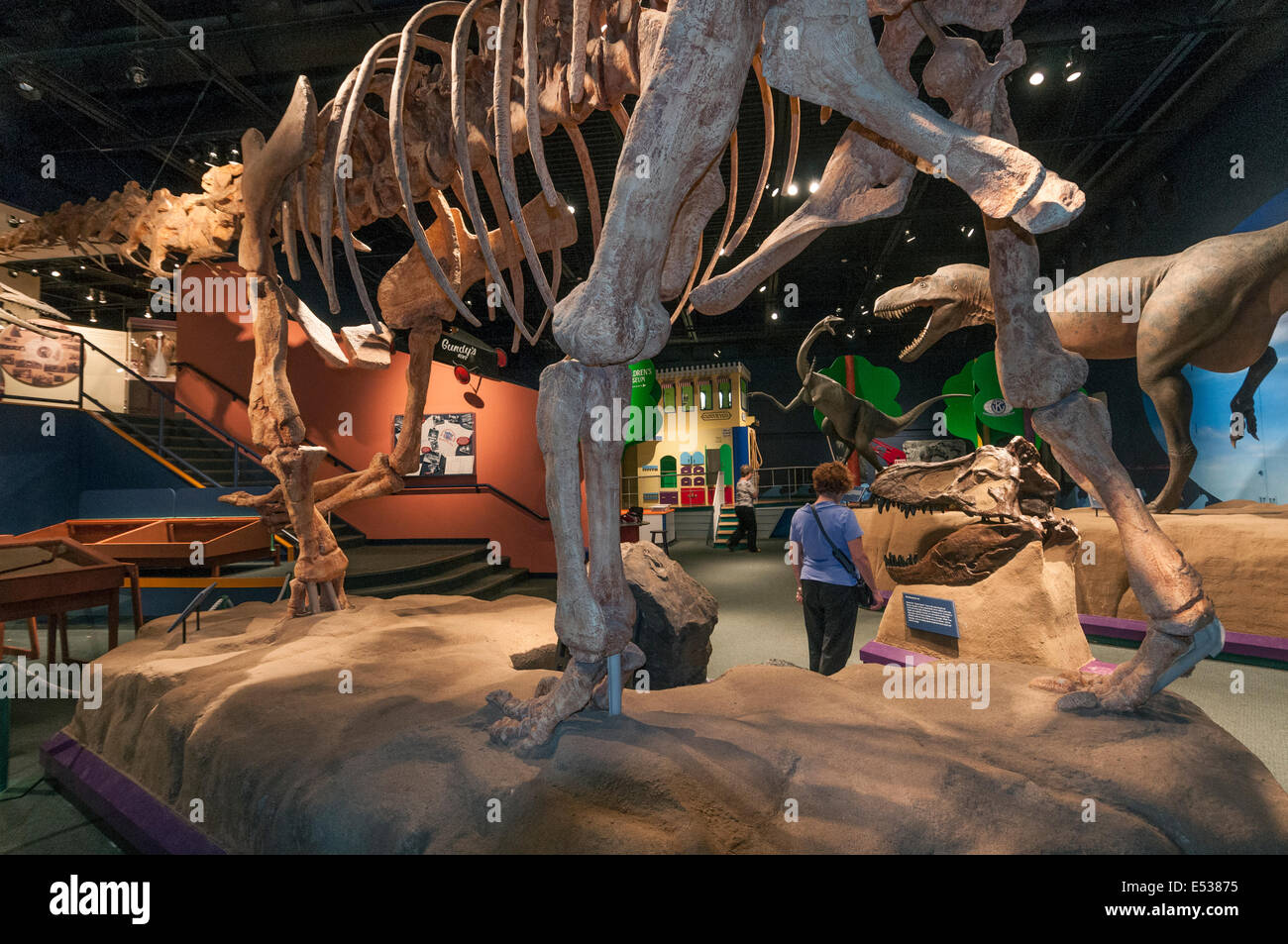 Elk203-3329 Canada, British Columbia, Prince George, Exploration Place ...