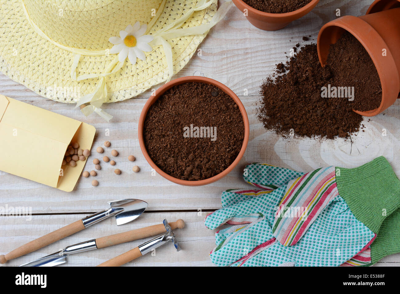 High angle shot of a group of items for potting and planting seeds ...