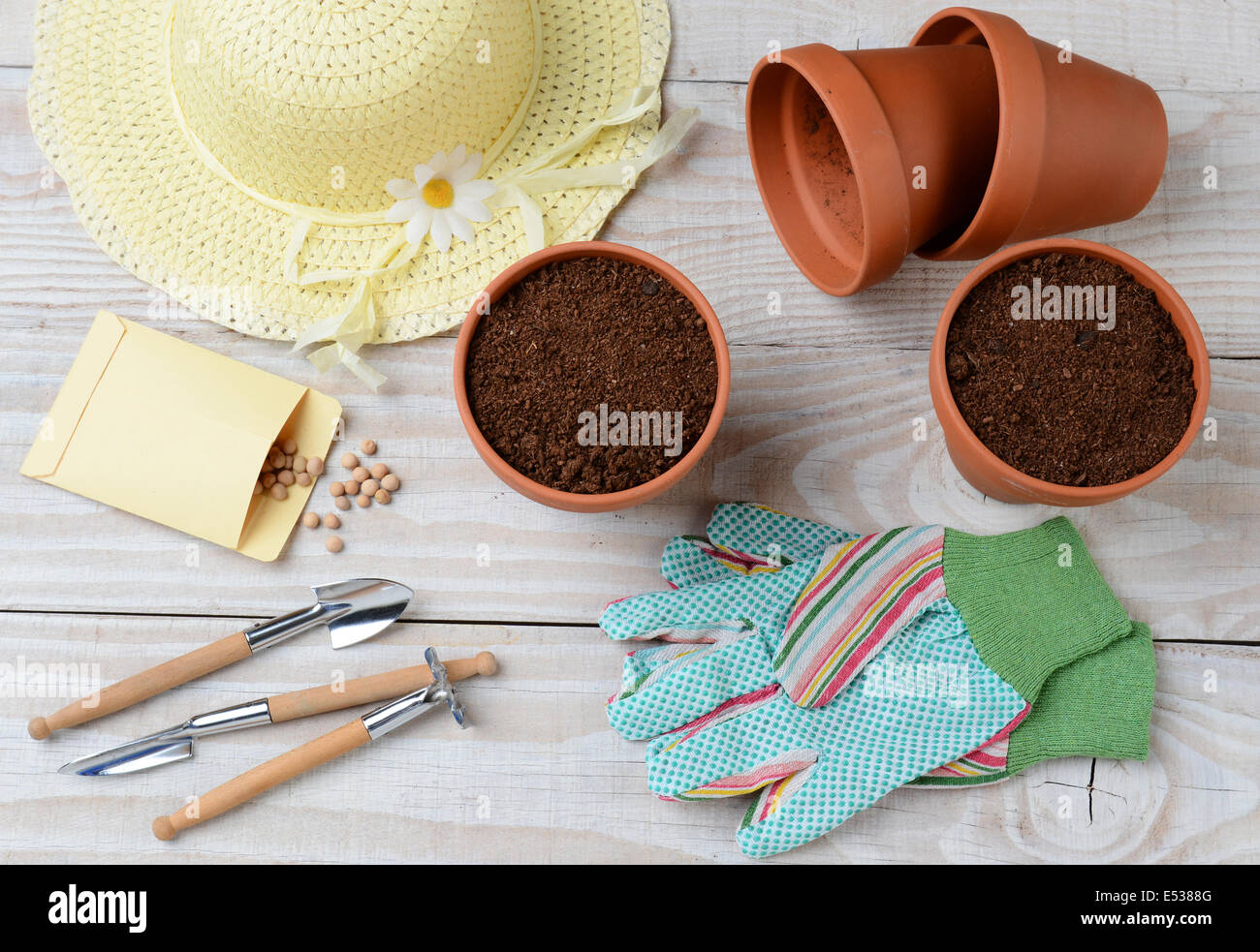 High angle shot of a group of items for potting and planting seeds ...