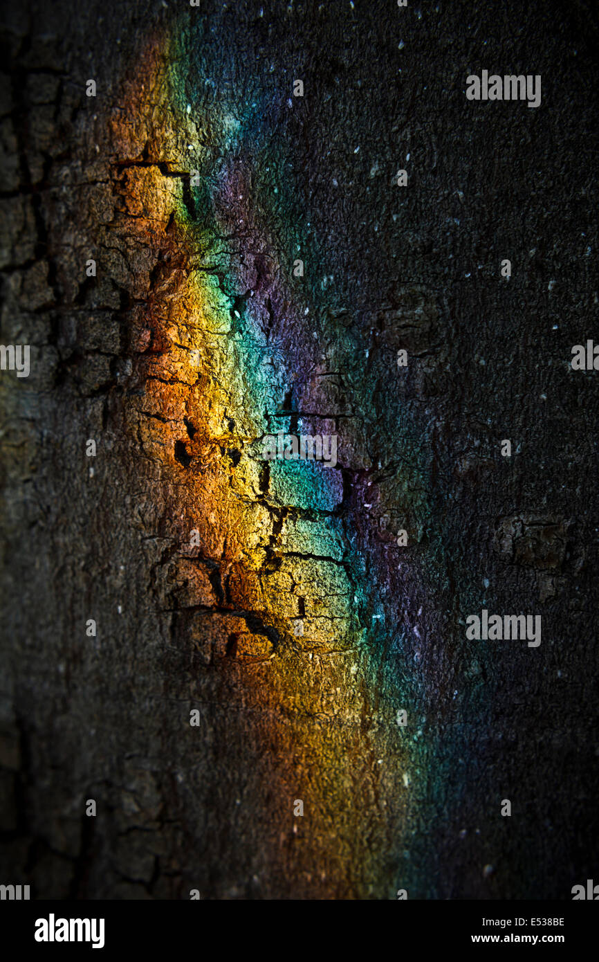 [rainbow on tree rainbow] Stock Photo - Alamy