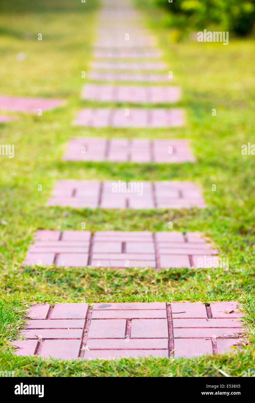 top view of stone path in garden Stock Photo - Alamy