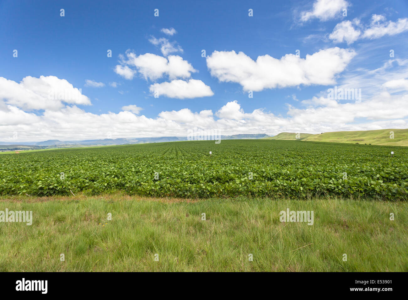 Farming Crops summer fields plateau mountain landscape Stock Photo - Alamy