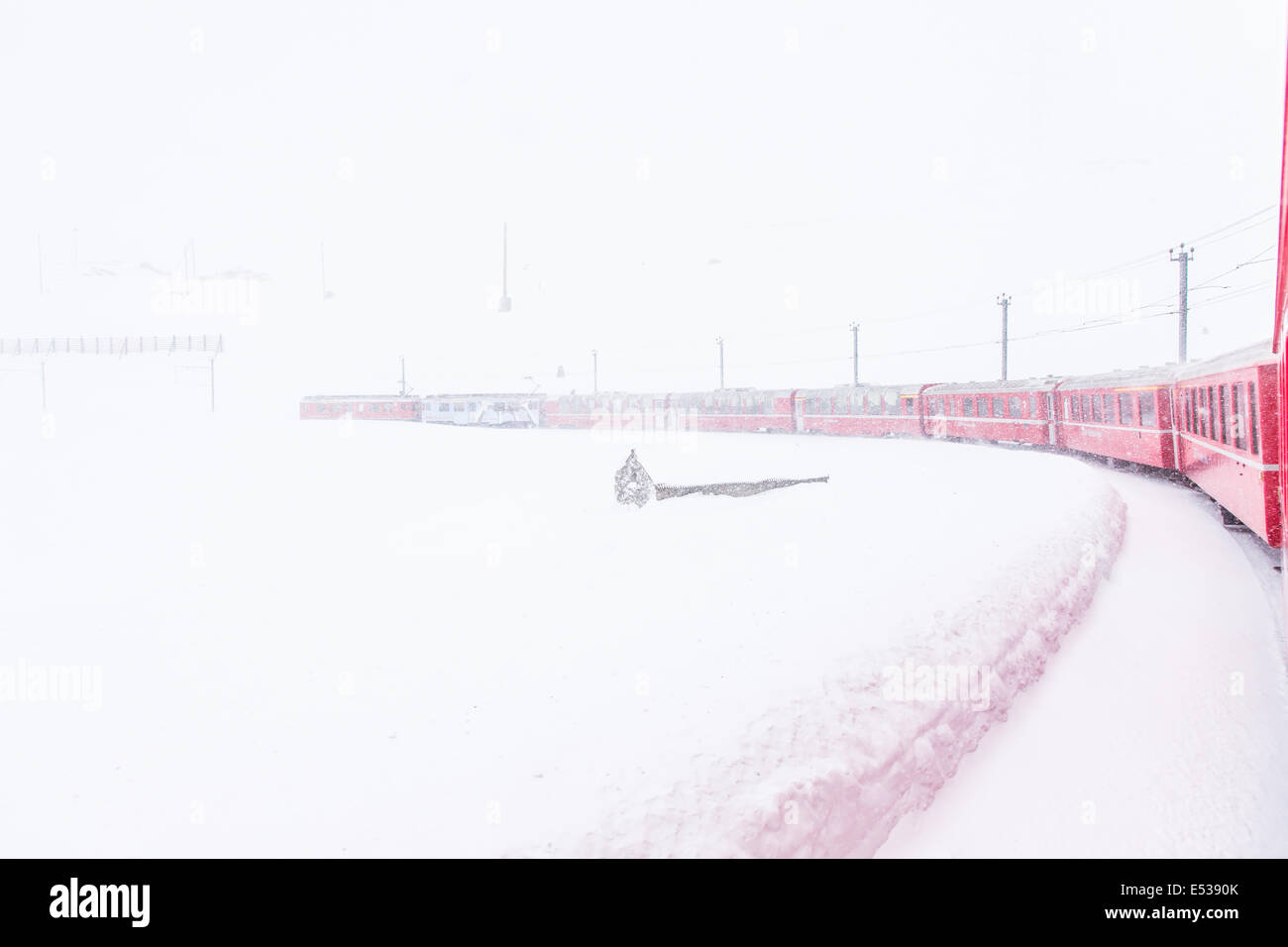 The famous Bernina red train, Unesco monument, in the middle of a ...