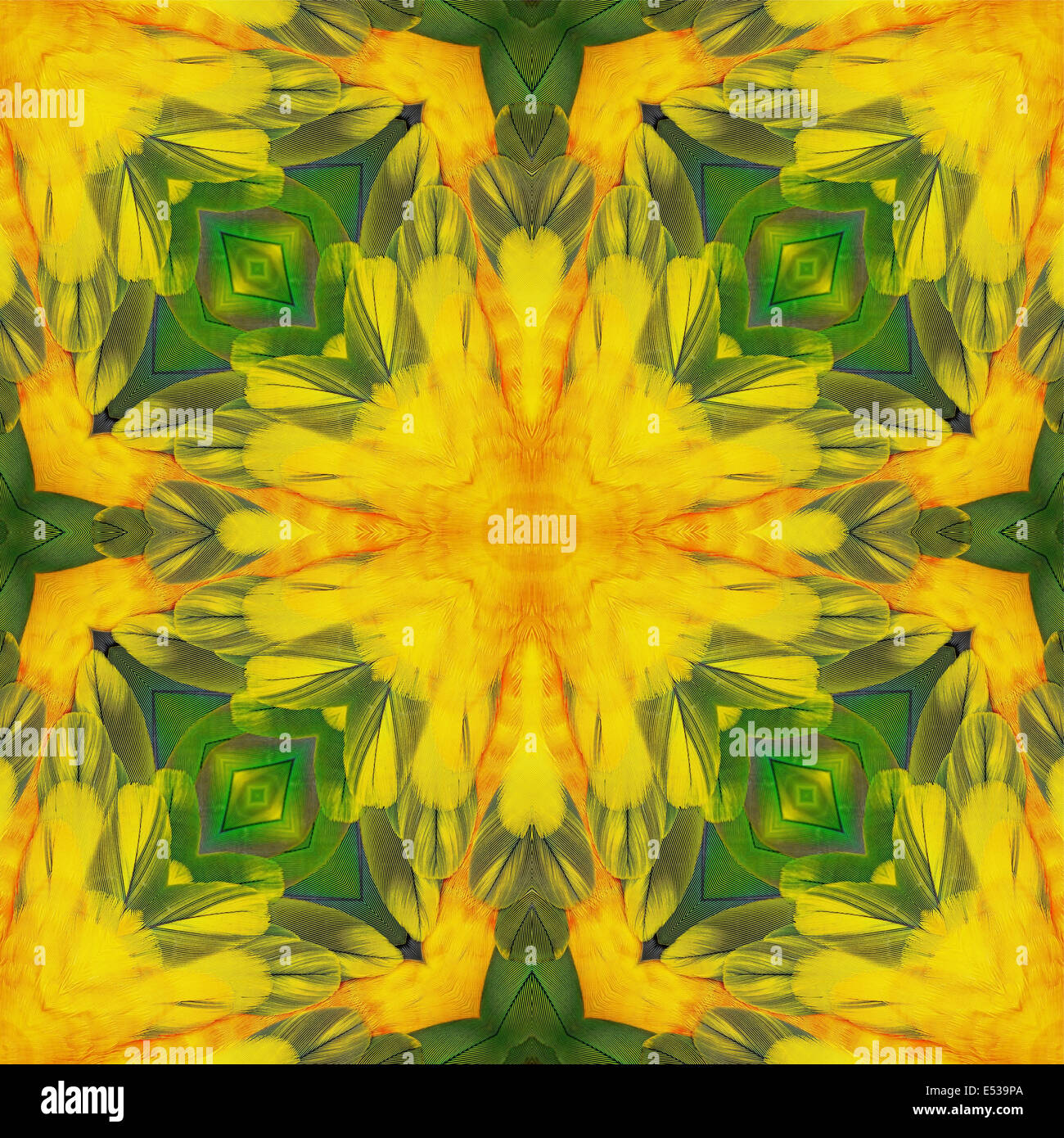 Seamless pattern made from Sun Conure feathers texture background Stock ...