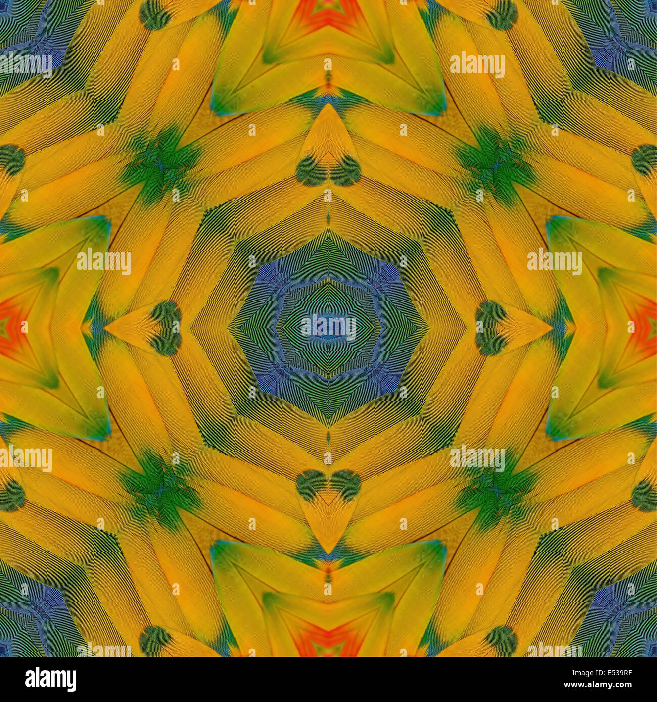 Seamless pattern made from Scarlet Macaw feathers texture background ...