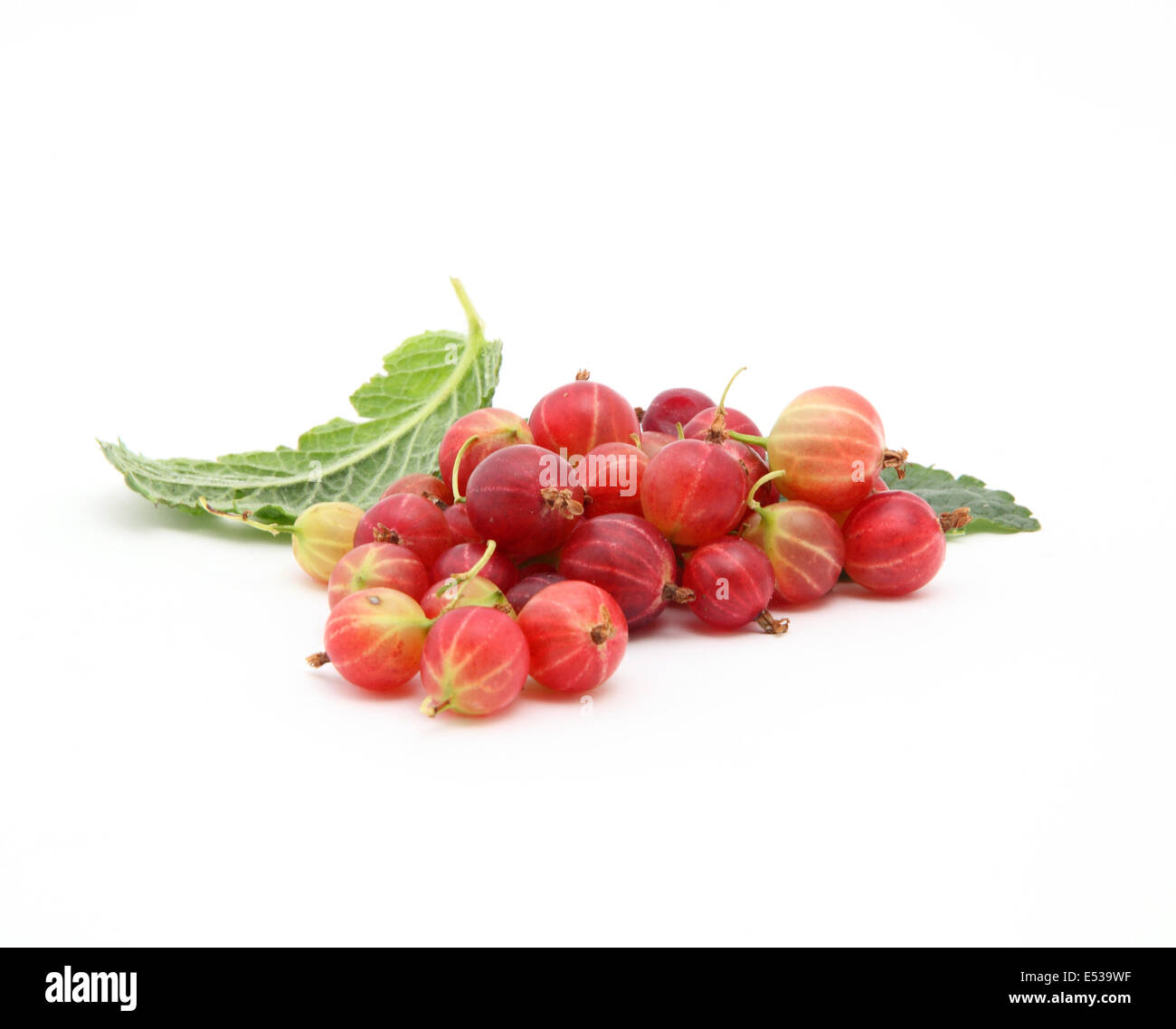 Gooseberry isolated on white background Stock Photo - Alamy