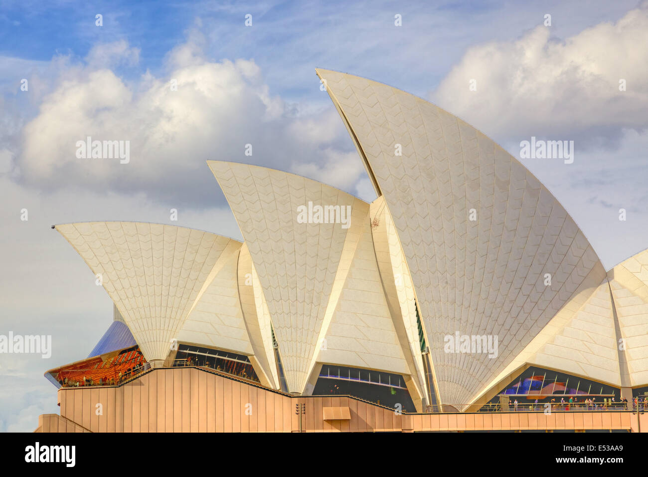 Interlocking shells hi-res stock photography and images - Alamy