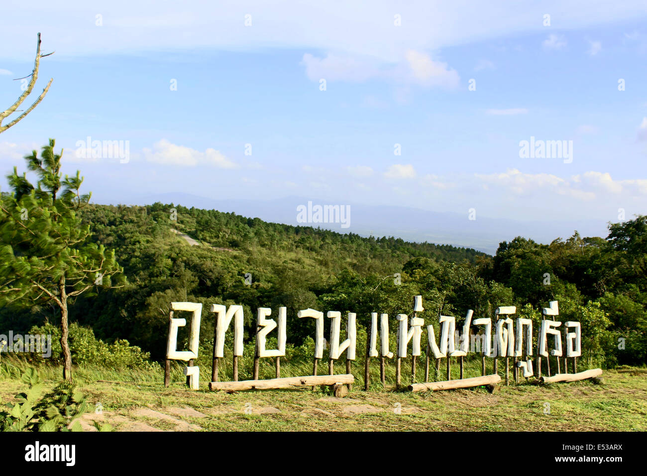 Nature of Phu Rua mountain , Phu Rua, Loei, , Thailand Stock Photo - Alamy