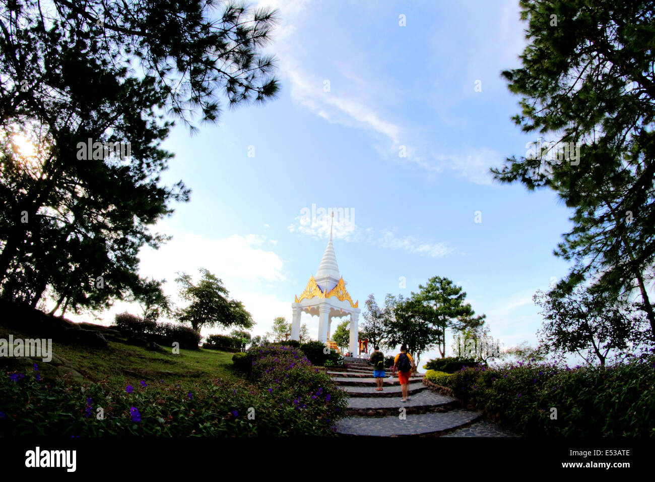 Nature of Phu Rua mountain , Phu Rua, Loei, , Thailand Stock Photo - Alamy
