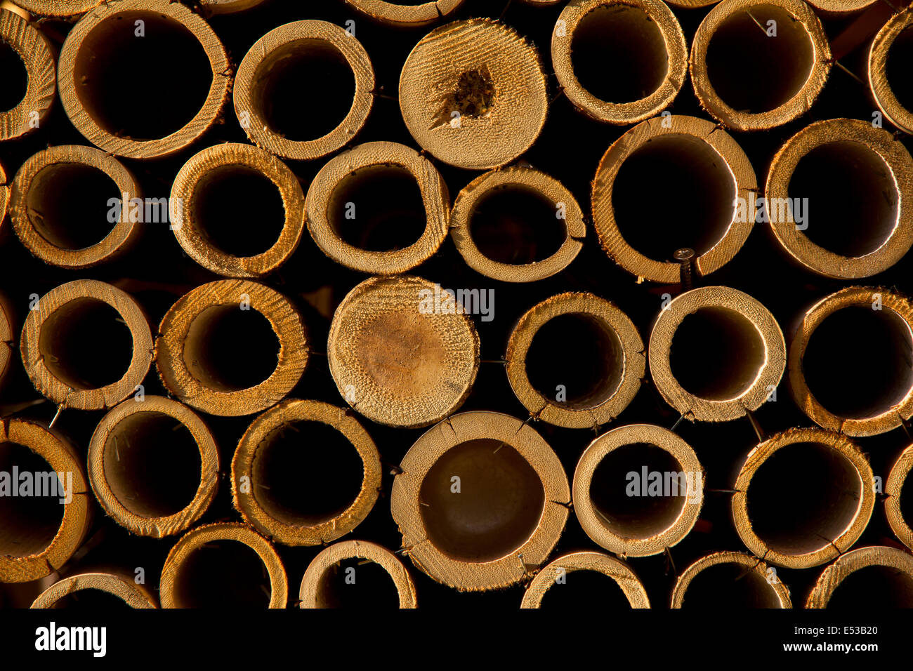 stack of bamboo cuts Stock Photo - Alamy