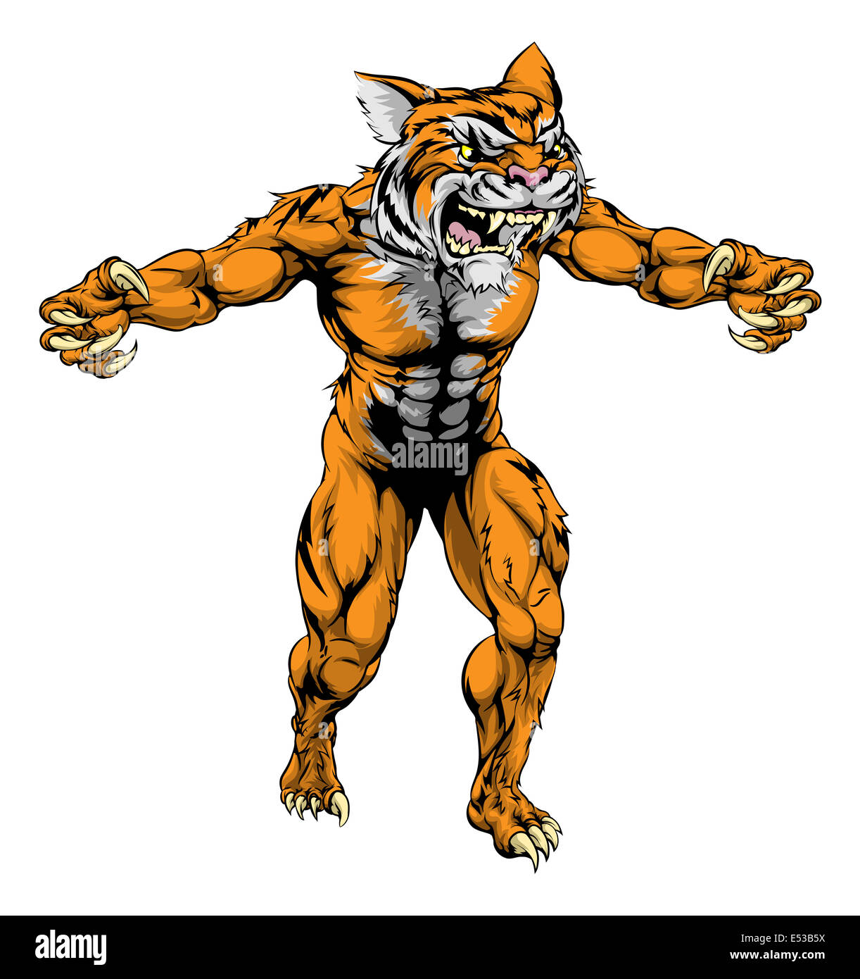 An illustration of a Tiger scary sports mascot with claws out Stock ...