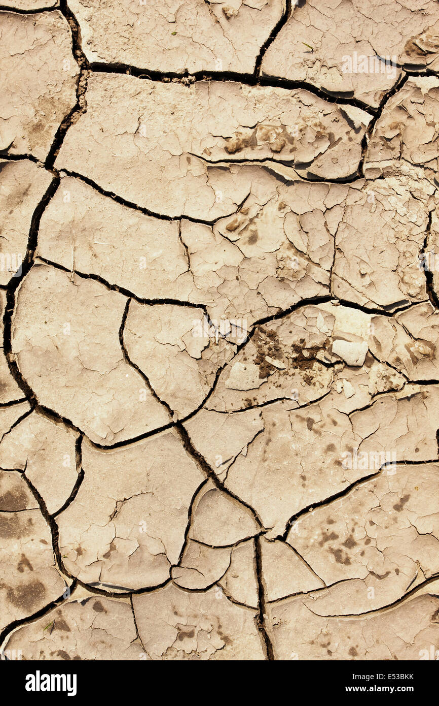 Cracked earth background Stock Photo - Alamy