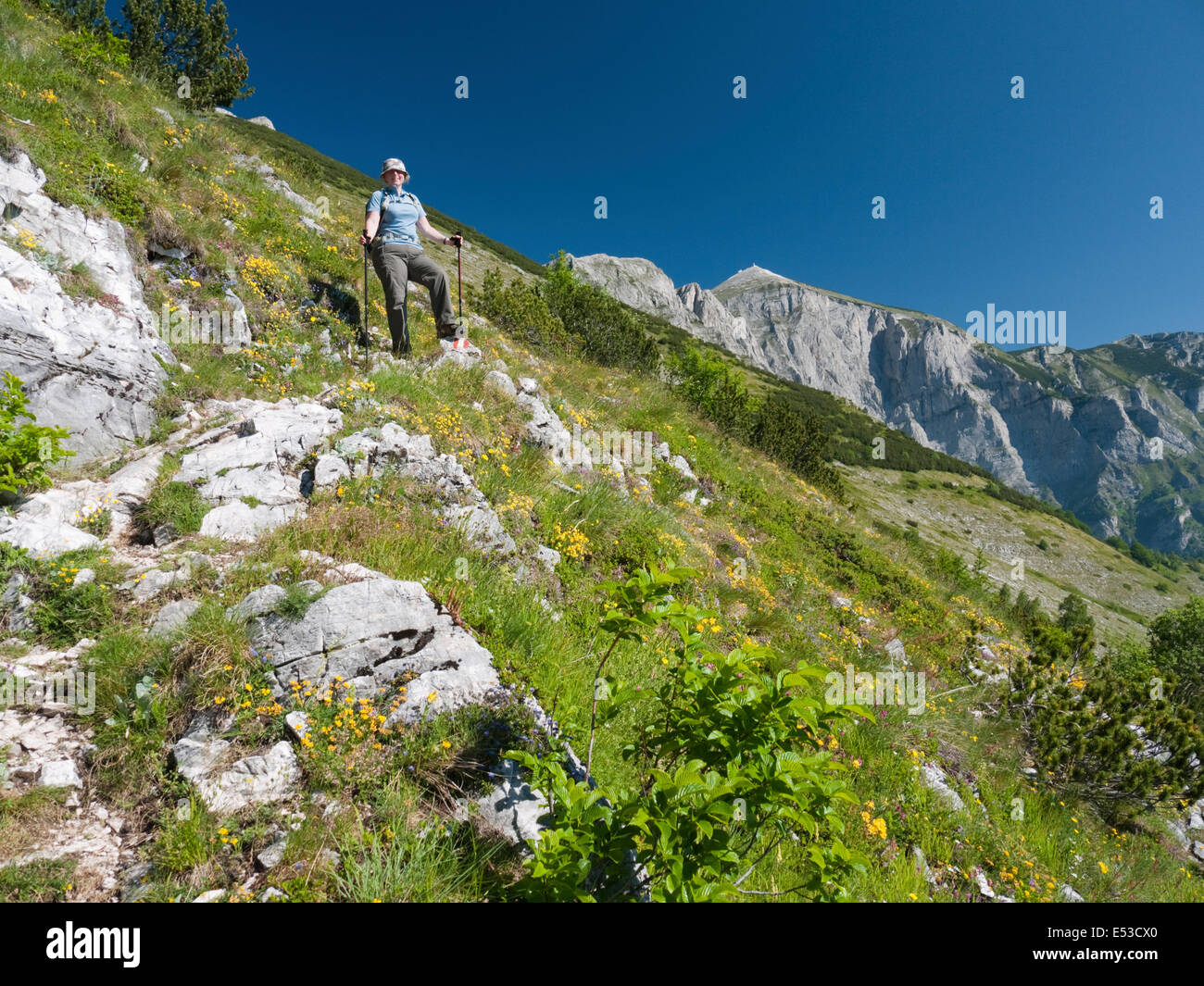 Solunska hi-res stock photography and images - Alamy