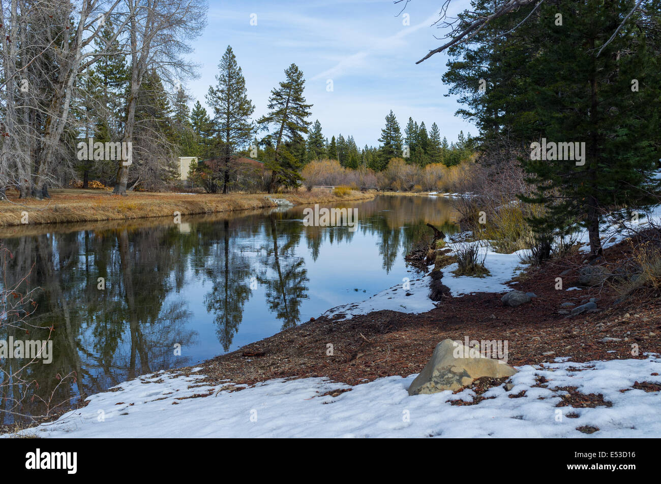 A tree-lined river from Lake Tahoe, California, USA with melting now in ...