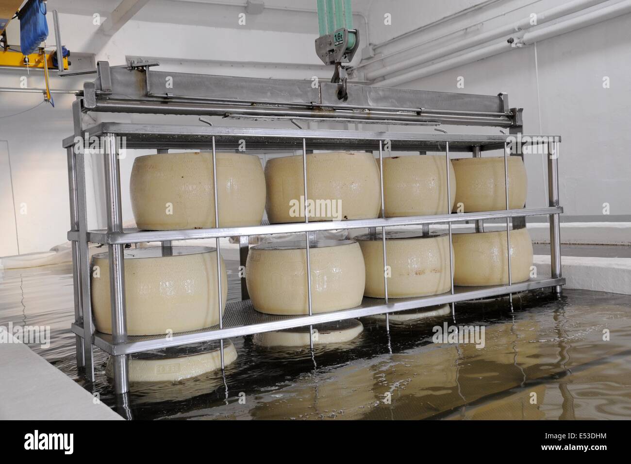 Trescore Cremasco (Cremona, Italy); production of Grana Padano DOP ...