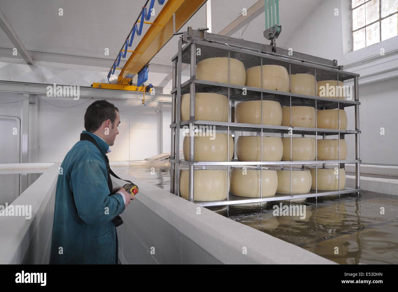 Trescore Cremasco (Cremona, Italy); production of Grana Padano DOP ...