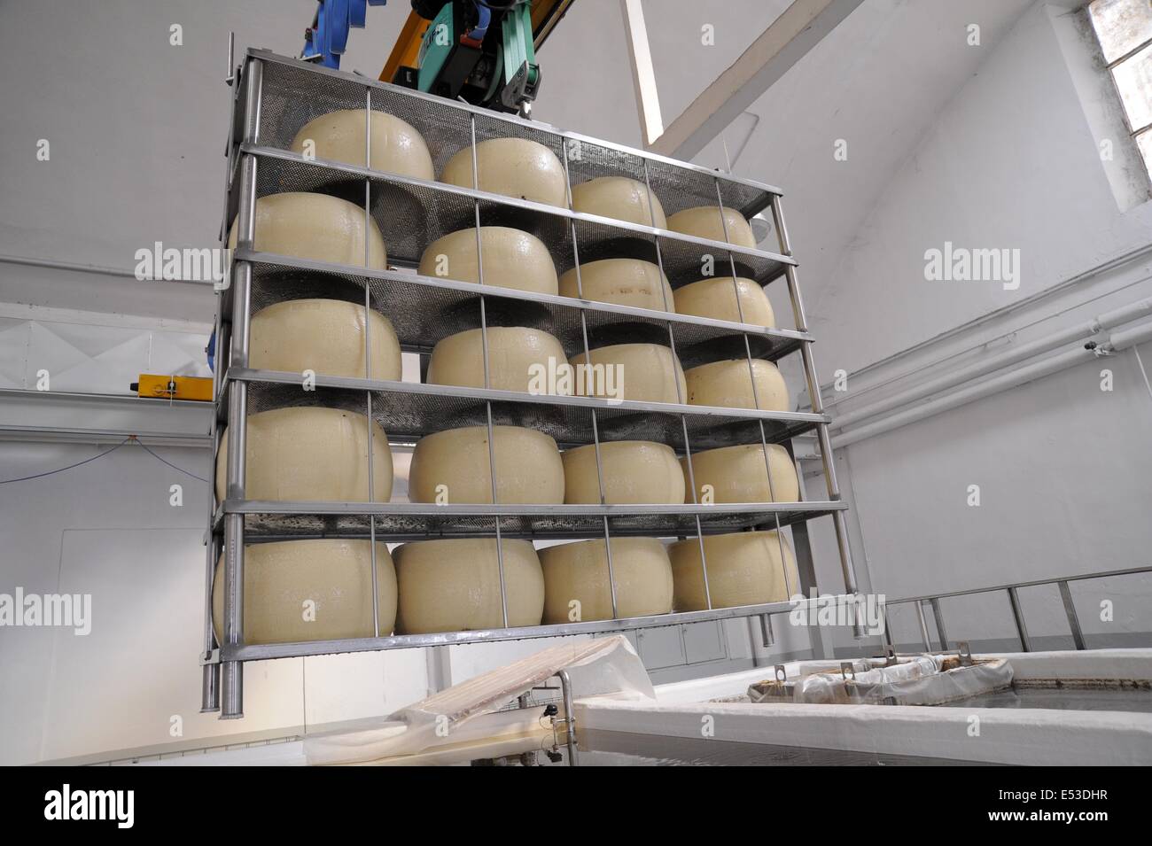 Trescore Cremasco (Cremona, Italy); production of Grana Padano DOP ...