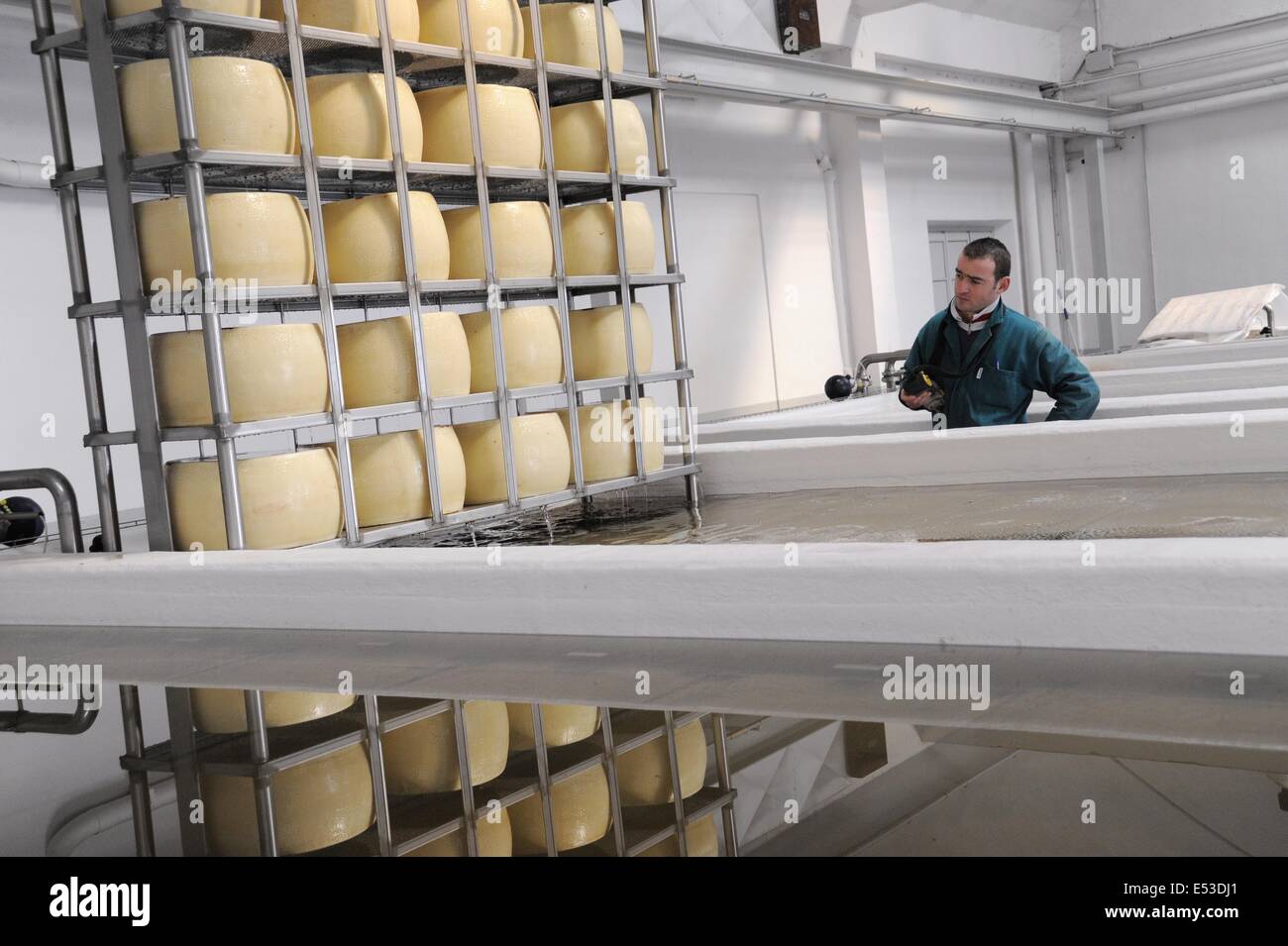 Trescore Cremasco (Cremona, Italy); production of Grana Padano DOP ...