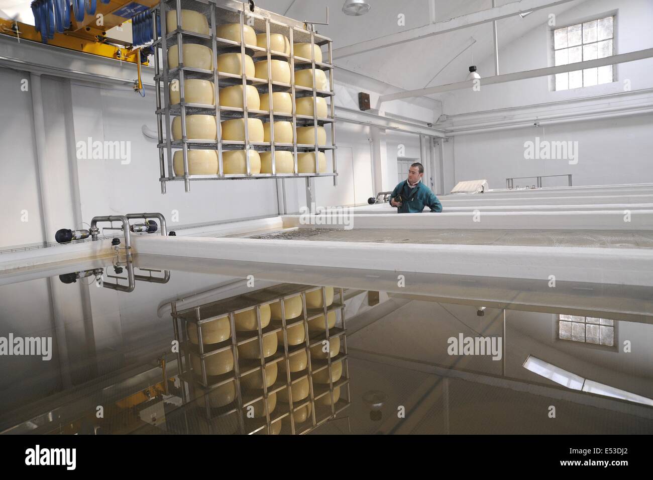 Trescore Cremasco (Cremona, Italy); production of Grana Padano DOP ...