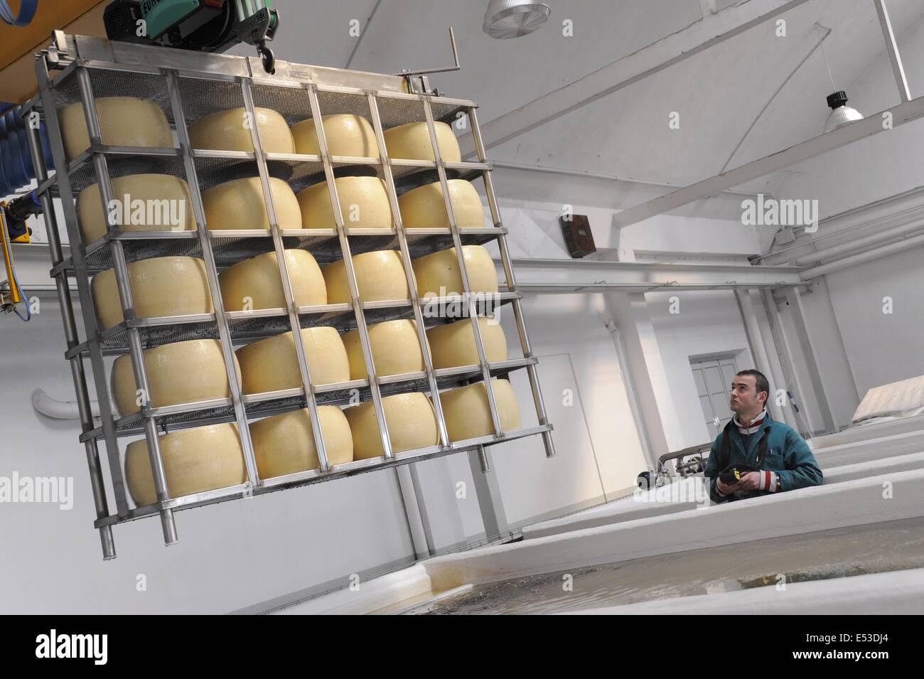 Trescore Cremasco (Cremona, Italy); production of Grana Padano DOP ...