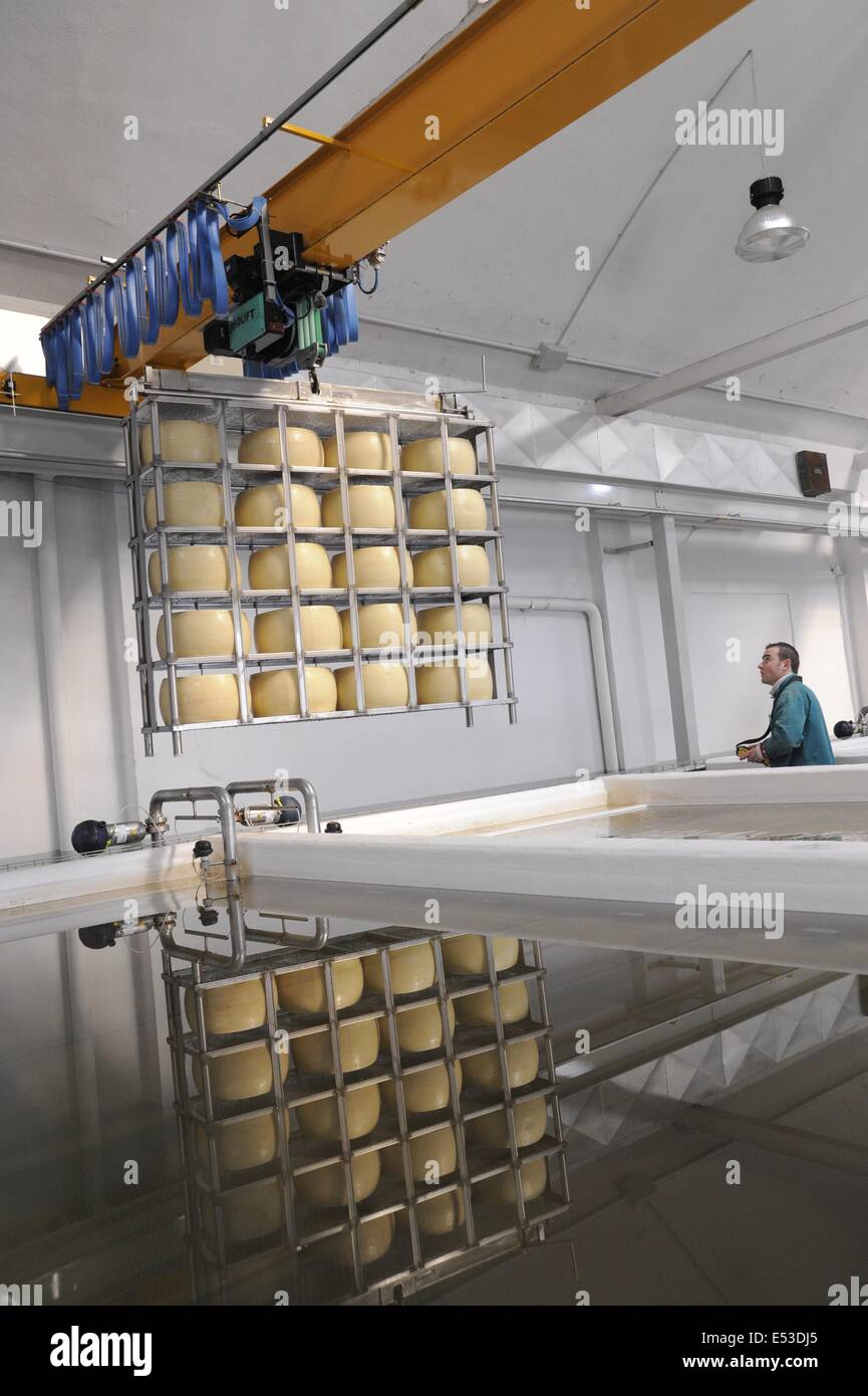 Trescore Cremasco (Cremona, Italy); production of Grana Padano DOP ...