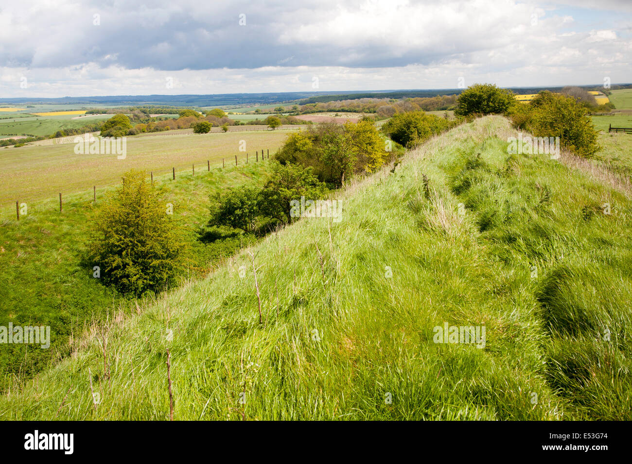 Ditch and embankment of the Wansdyke a Saxon defensive structure on All ...