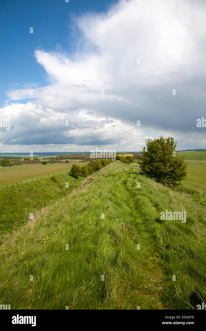 Ditch and embankment of the Wansdyke a Saxon defensive structure on All ...