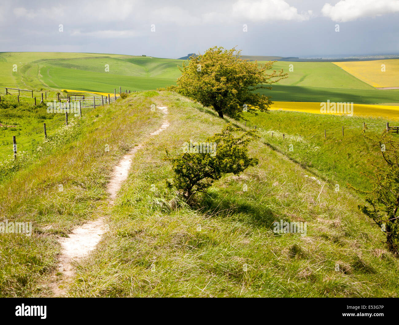 Ditch and embankment of the Wansdyke a Saxon defensive structure on All ...