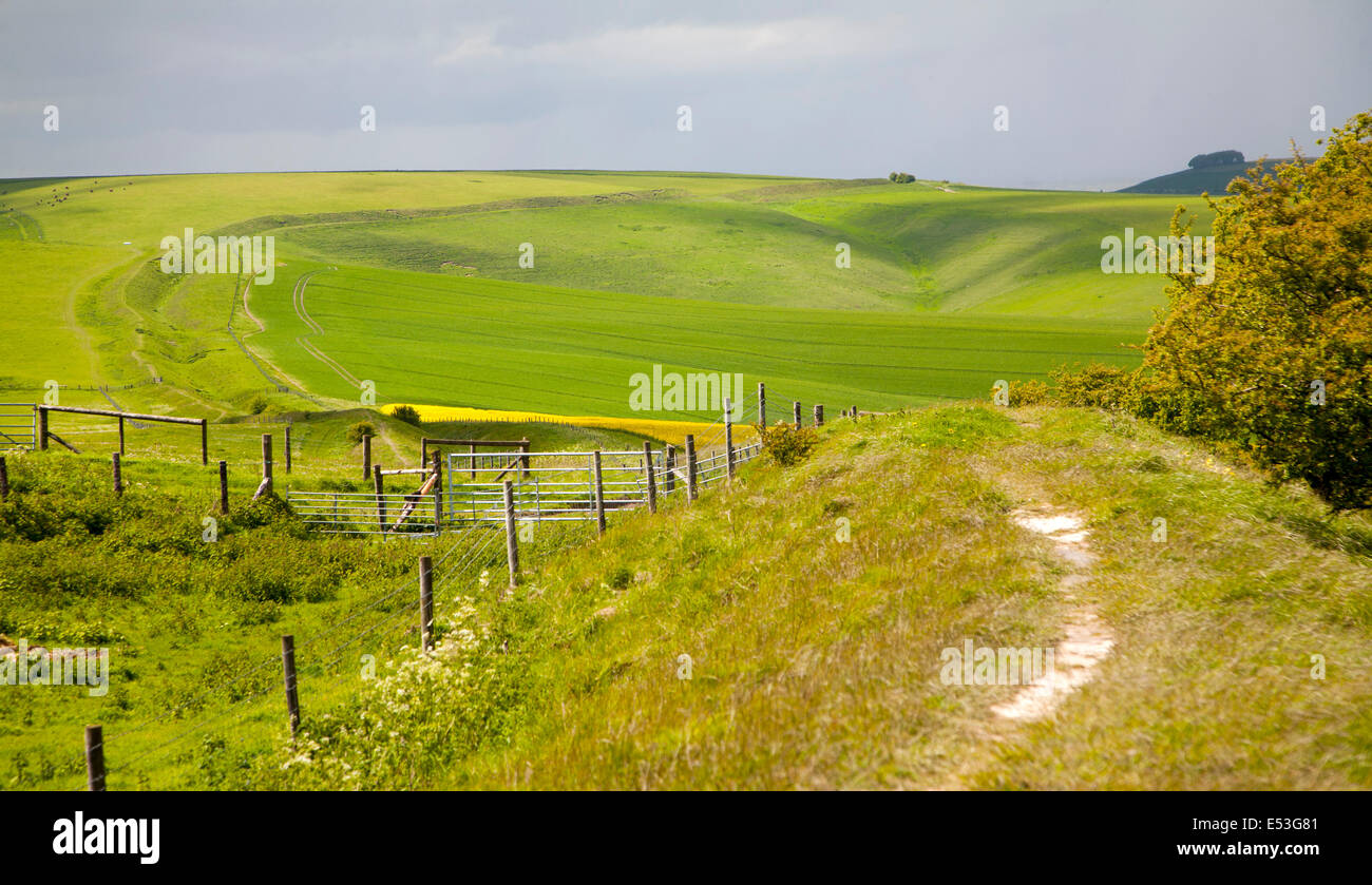 Ditch and embankment of the Wansdyke a Saxon defensive structure on All ...