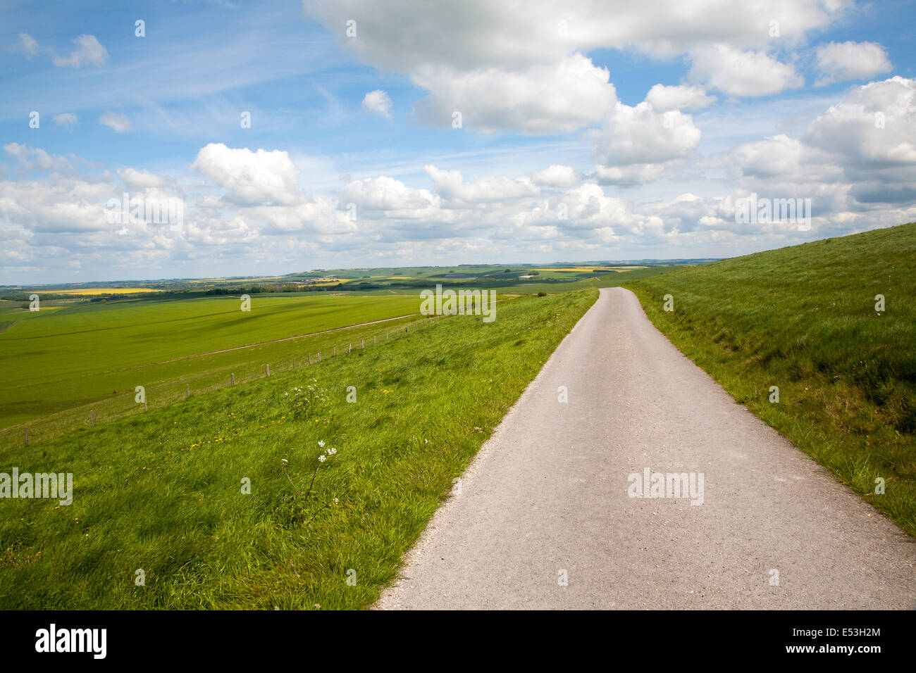 Small narrow lane on chalk downland, Allington Down, Wiltshire, England ...