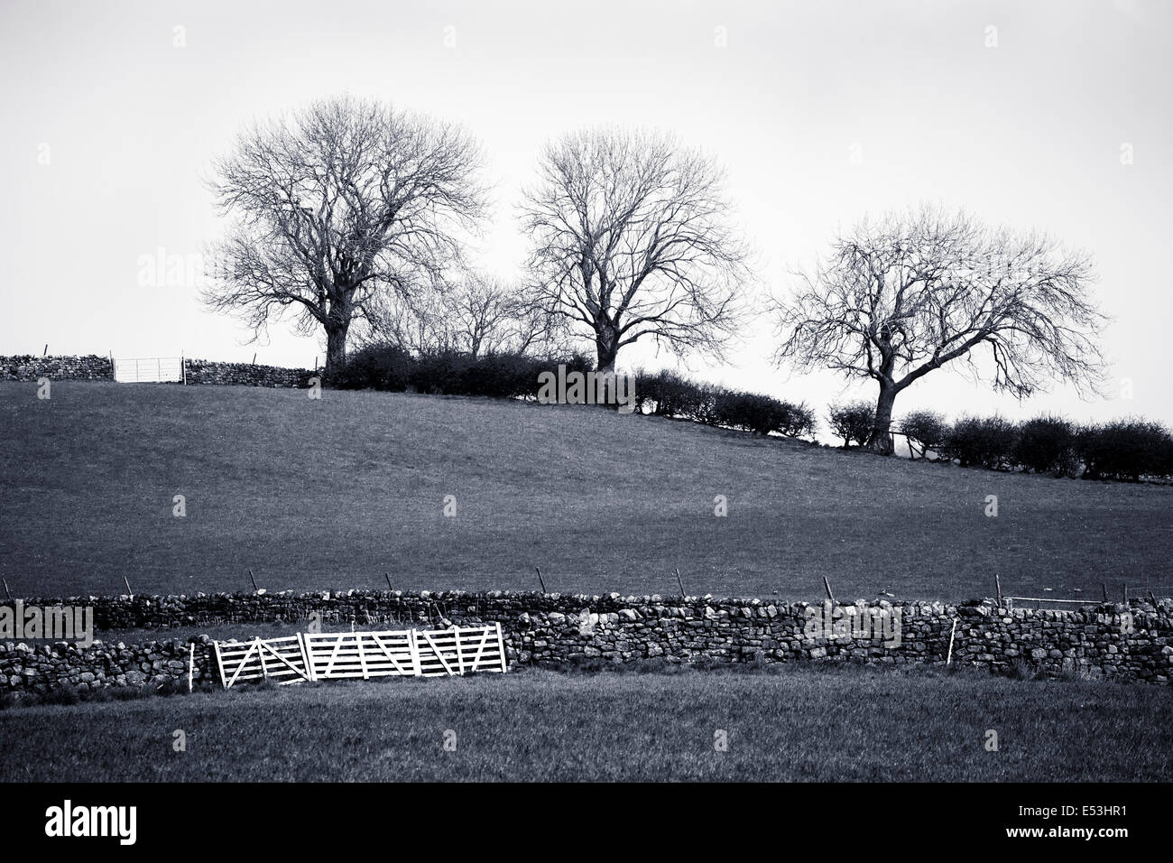 Bramley Grange near Ilton, North Yorkshire Stock Photo - Alamy