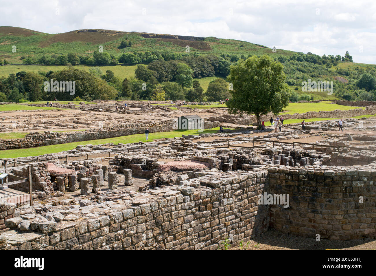 Vindolanda Roman Fort Northumberland England UK Stock Photo: 71994626 ...