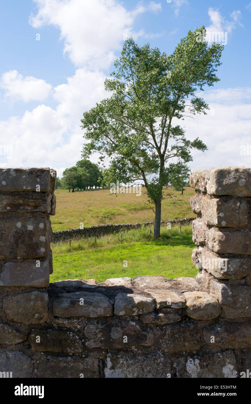 Vindolanda reconstruction High Resolution Stock Photography and Images ...