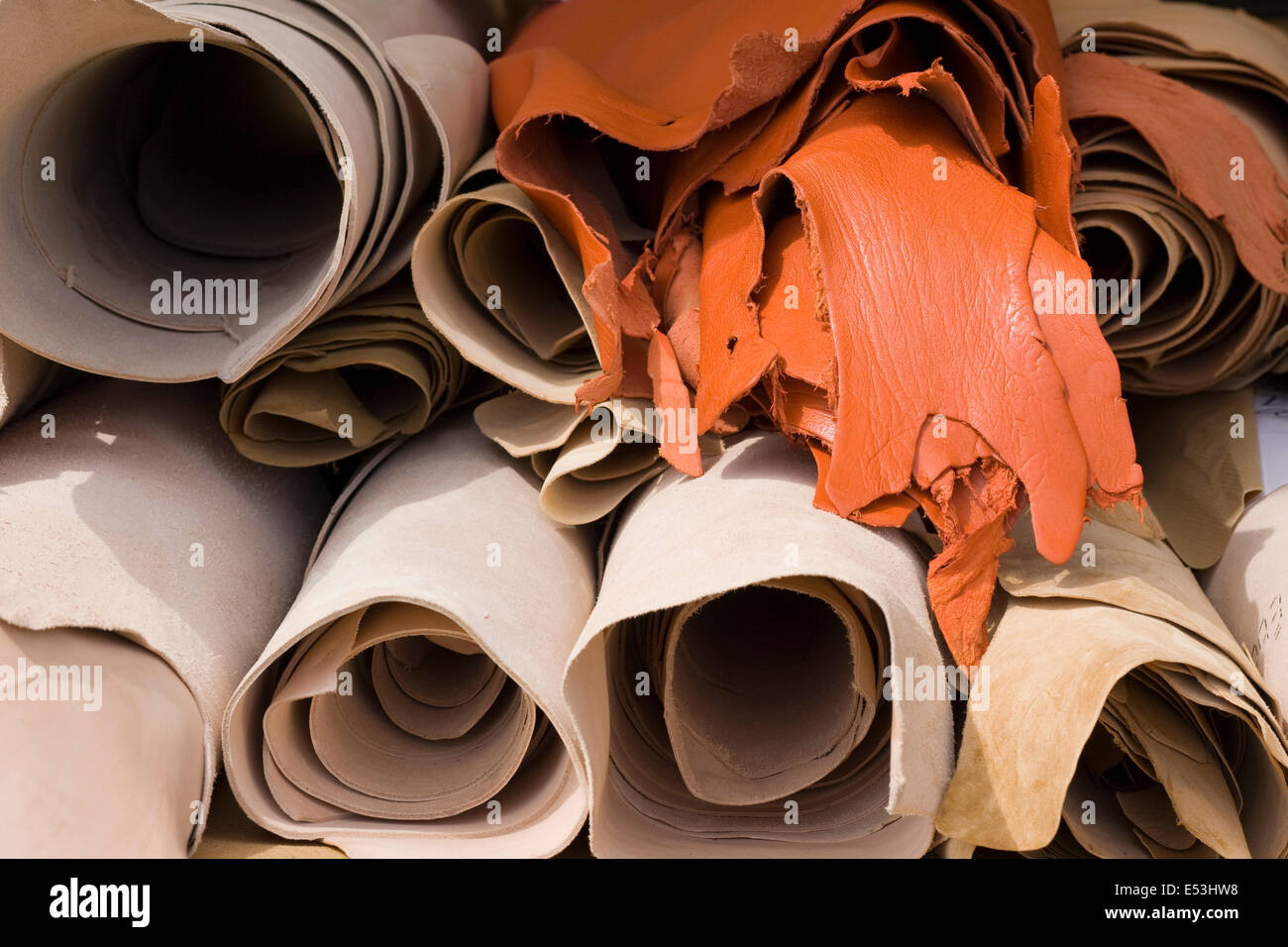 Fur and Leather Animal Hide on show at a festival Stock Photo - Alamy