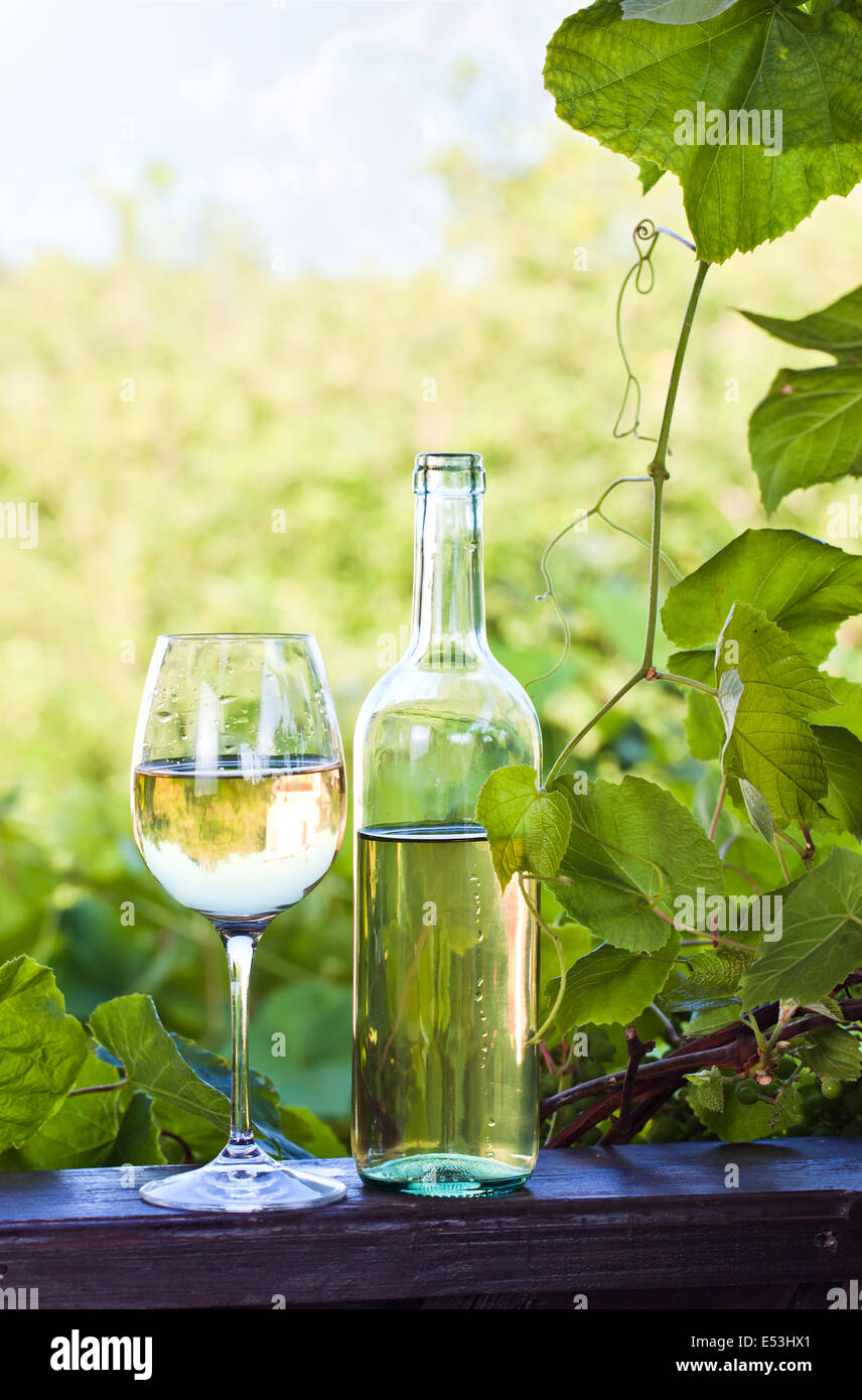 bottle and glass with white wine in vineyard Stock Photo - Alamy